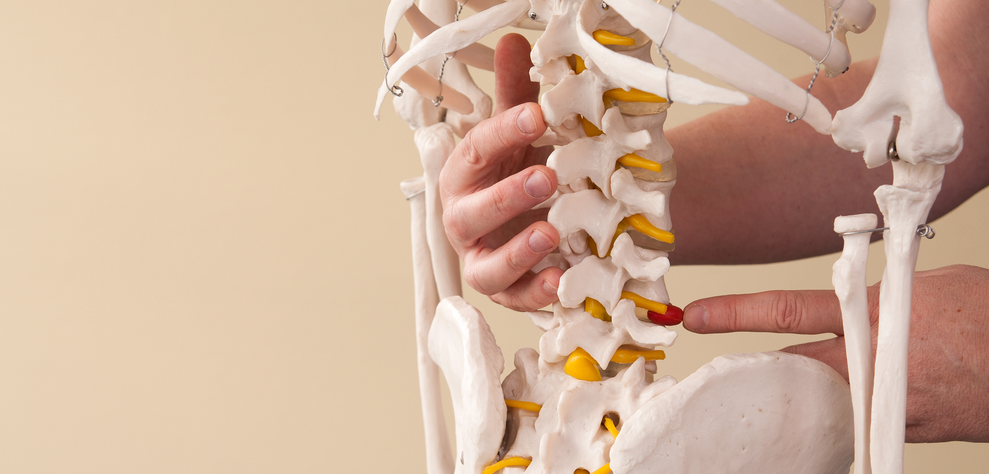 Praxis für Osteopathie und Naturheilkunde - Dorn Therapie